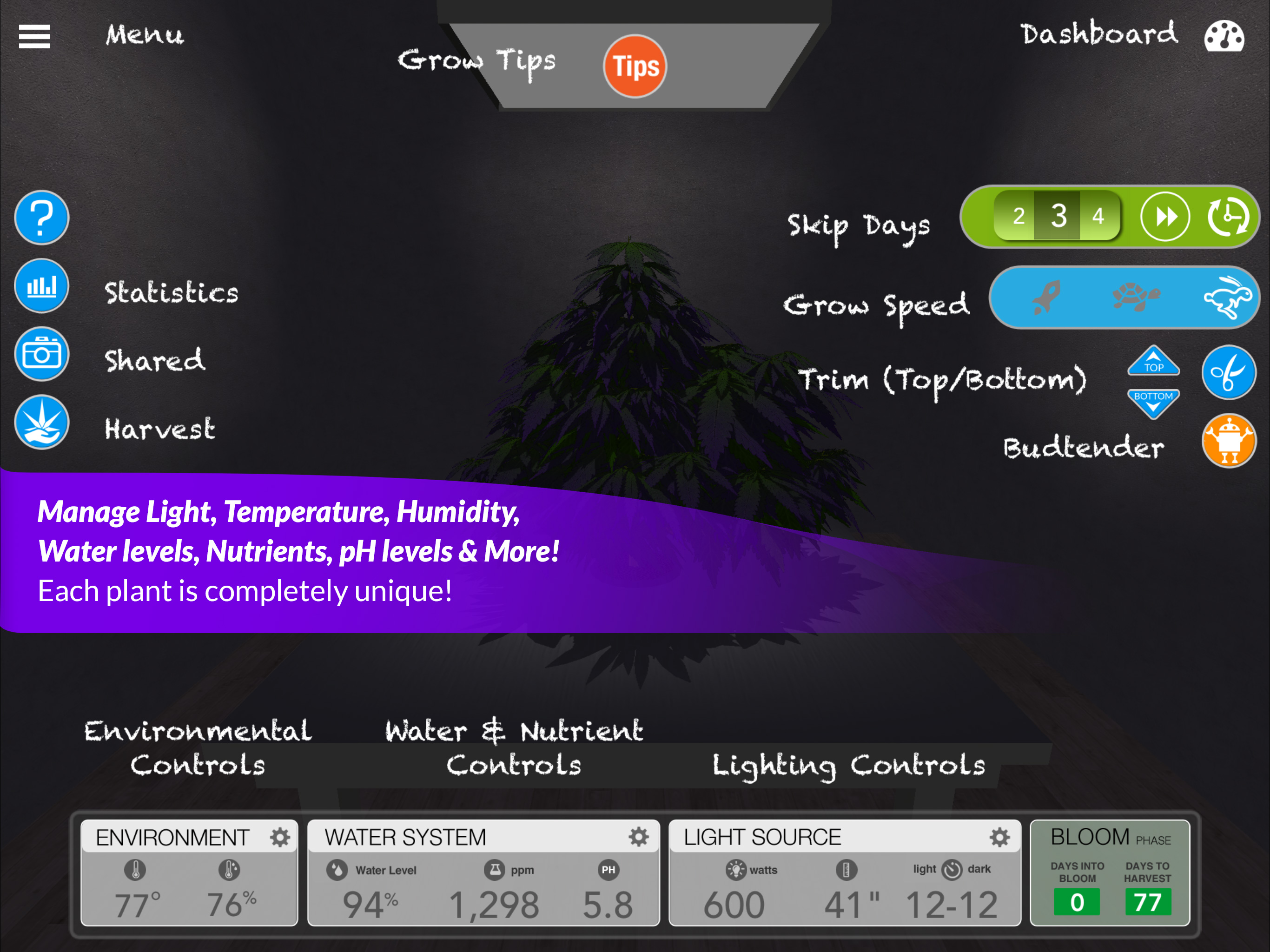 SL Technology Group Launches simLeaf, a Highly Advanced 3D Simulator ...