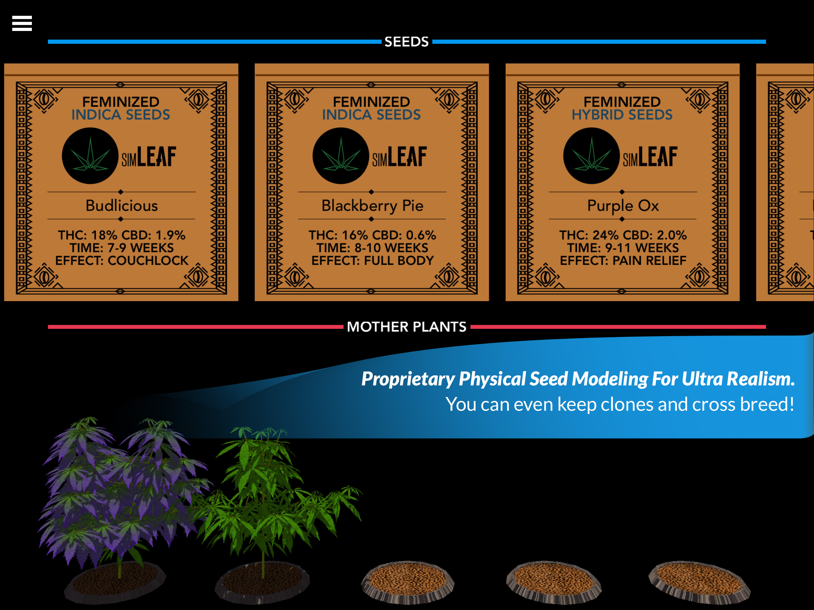 SL Technology Group Launches simLeaf, a Highly Advanced 3D Simulator ...