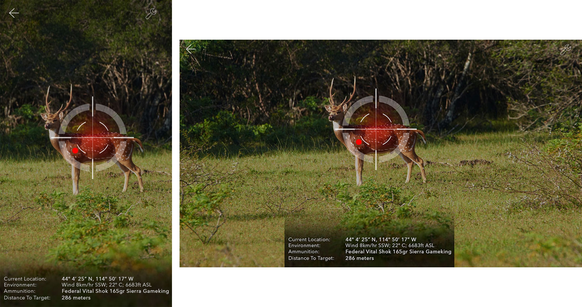 Shot Doctor Destined to Revolutionise Sports Shooting Technology With ...